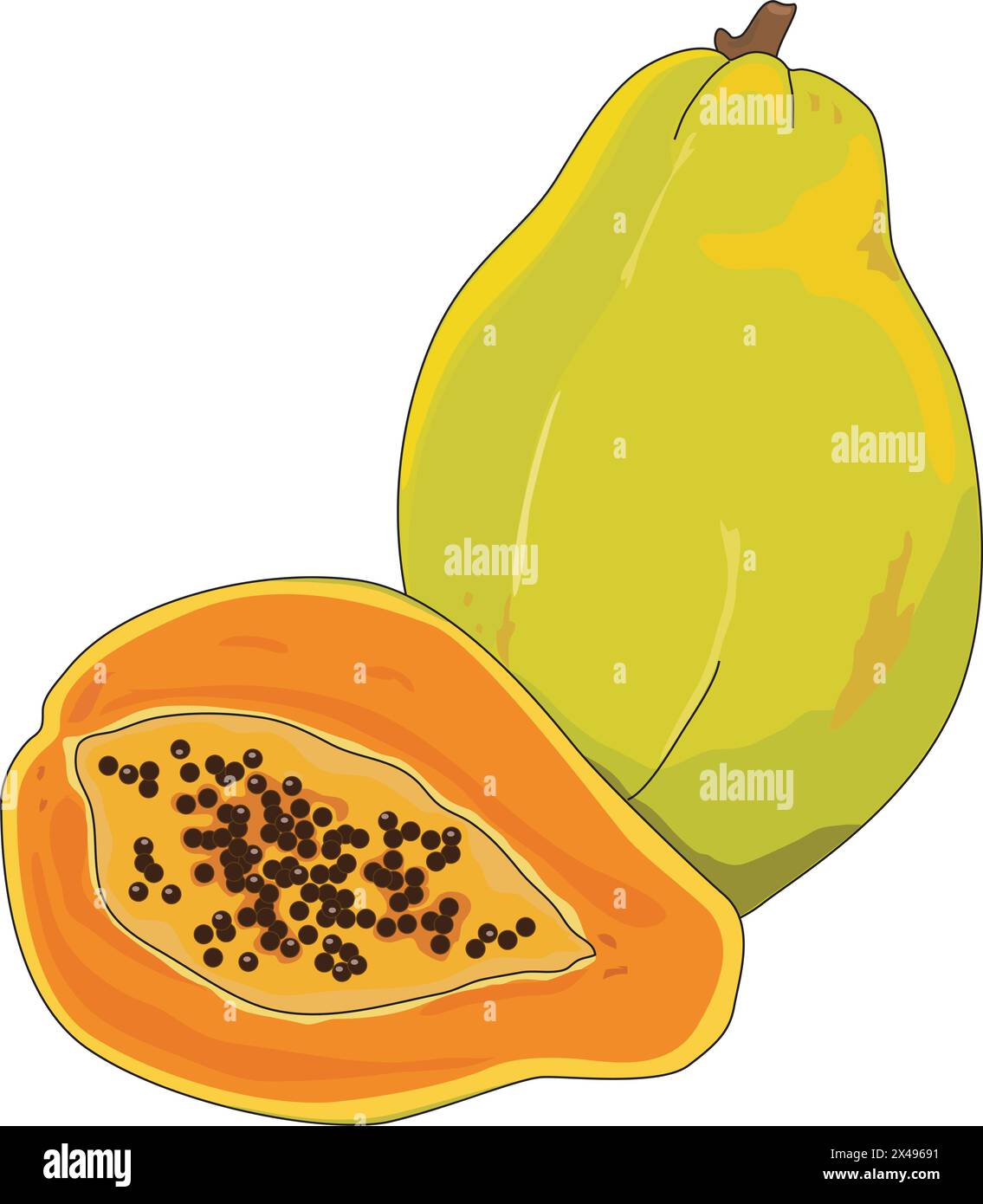 A fresh fruit the fruits Stock Vector Images - Alamy