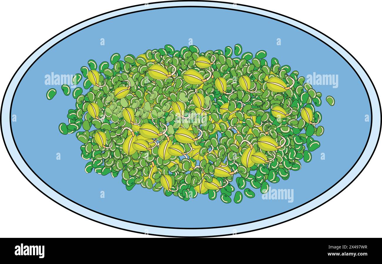 Green sprouts raw organic Stock Vector Images - Alamy