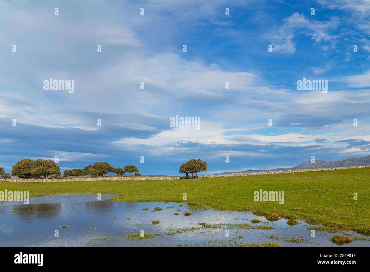 Landscape with trees reflected in water near Arroyo de la Luz ...