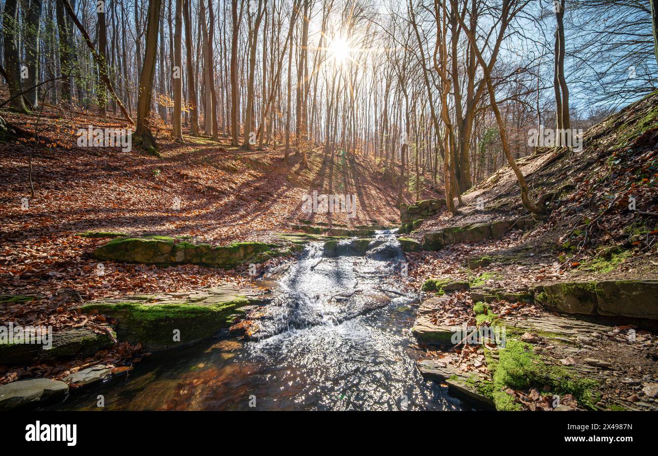 Skew creek hi-res stock photography and images - Alamy