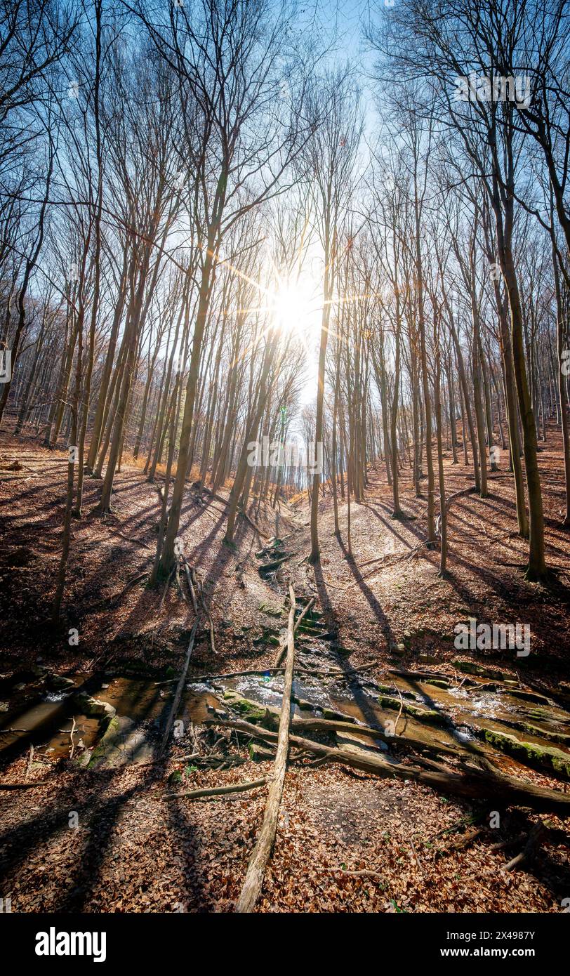 Obanya gorge hiking trail at early spring time. There is a forest where ...