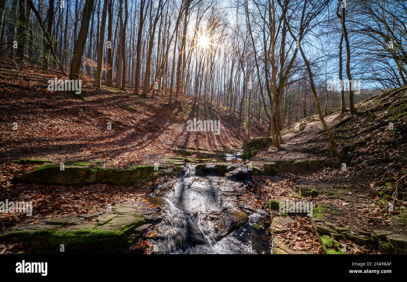 Obanya gorge hiking trail at early spring time. There is a forest where ...