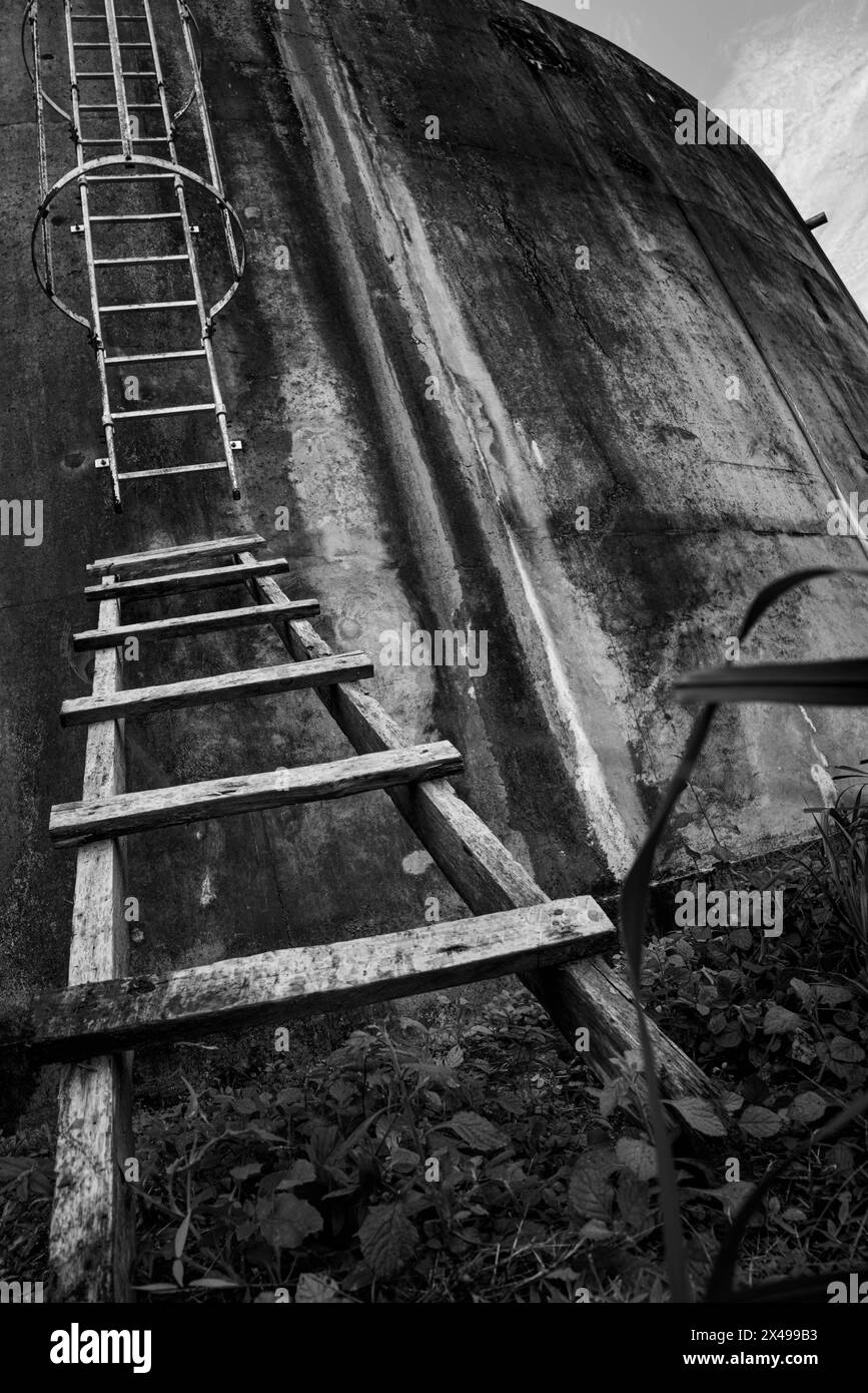 find a way to the top of the water tower thanks to a wooden ladder ...
