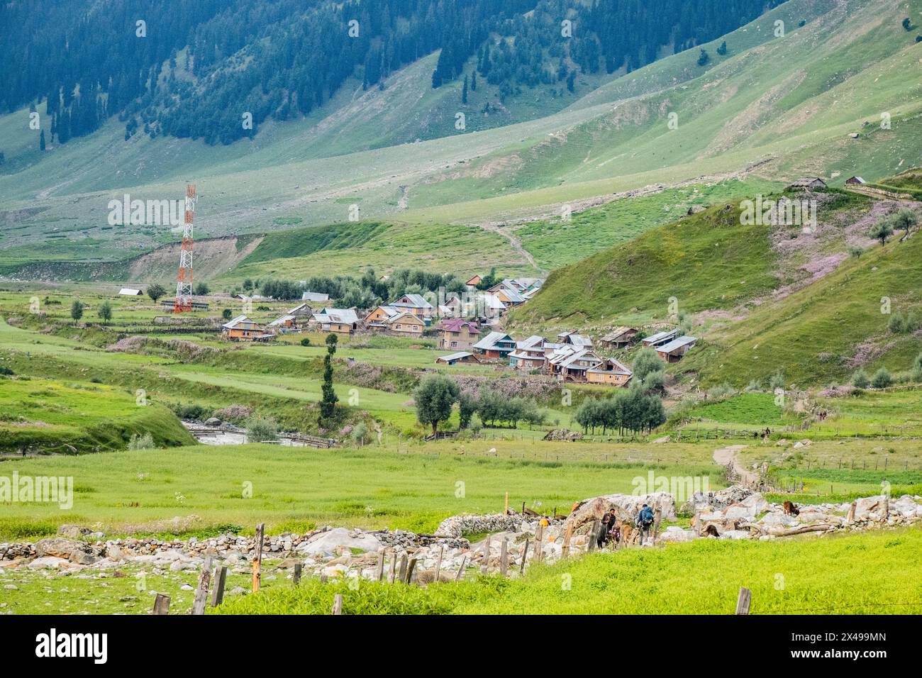 Trekking to Sukhnai village, Warwan Valley, Kashmir, India Stock Photo ...