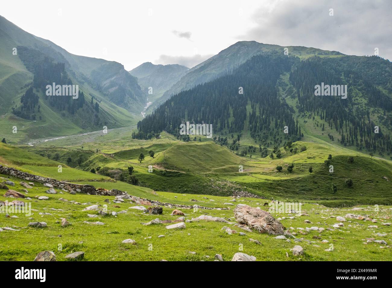 Trekking to Sukhnai village, Warwan Valley, Kashmir, India Stock Photo ...
