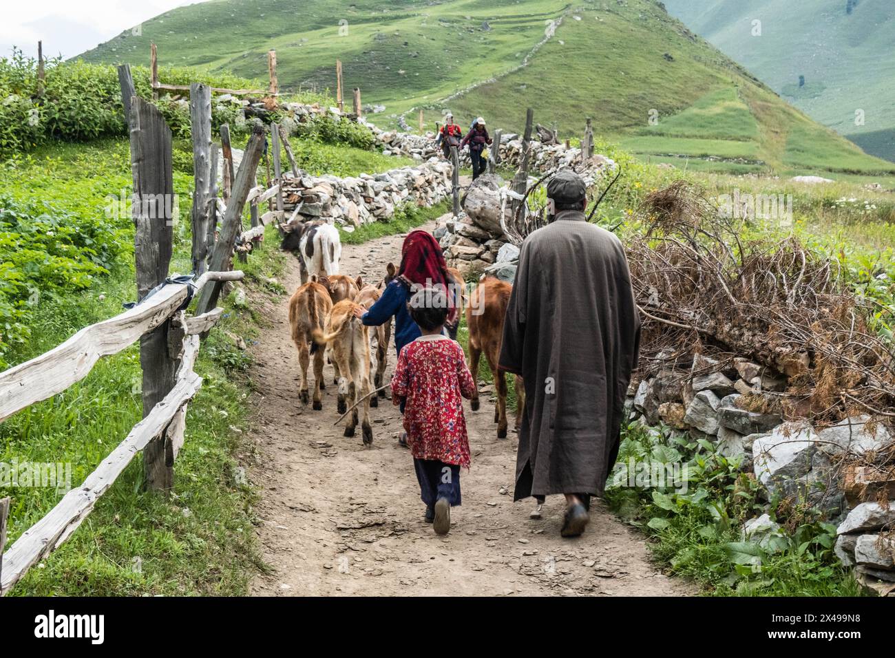 Village life in Sukhnai, Warwan Valley, Kashmir, India Stock Photo - Alamy