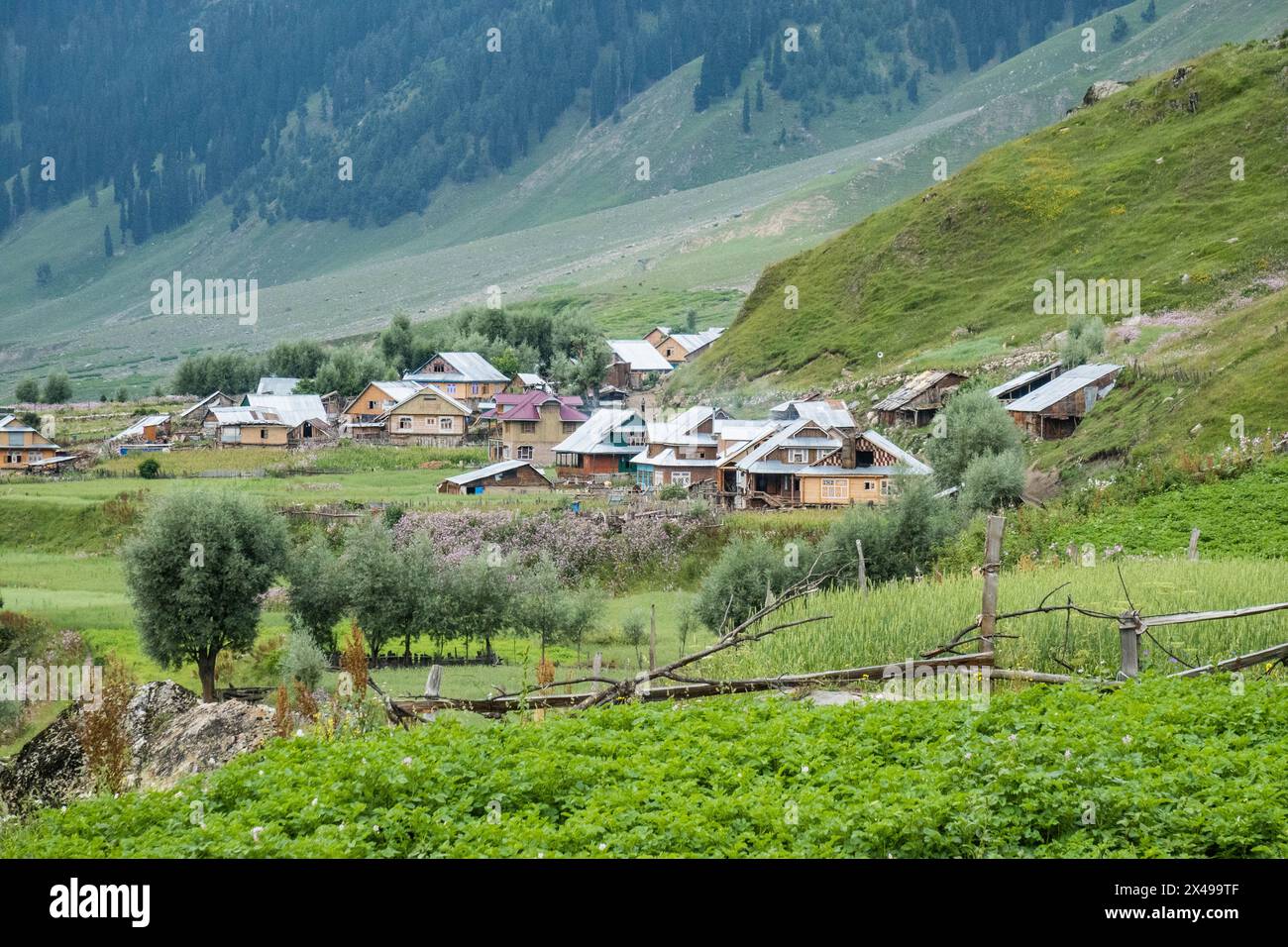 Trekking to Sukhnai village, Warwan Valley, Kashmir, India Stock Photo ...
