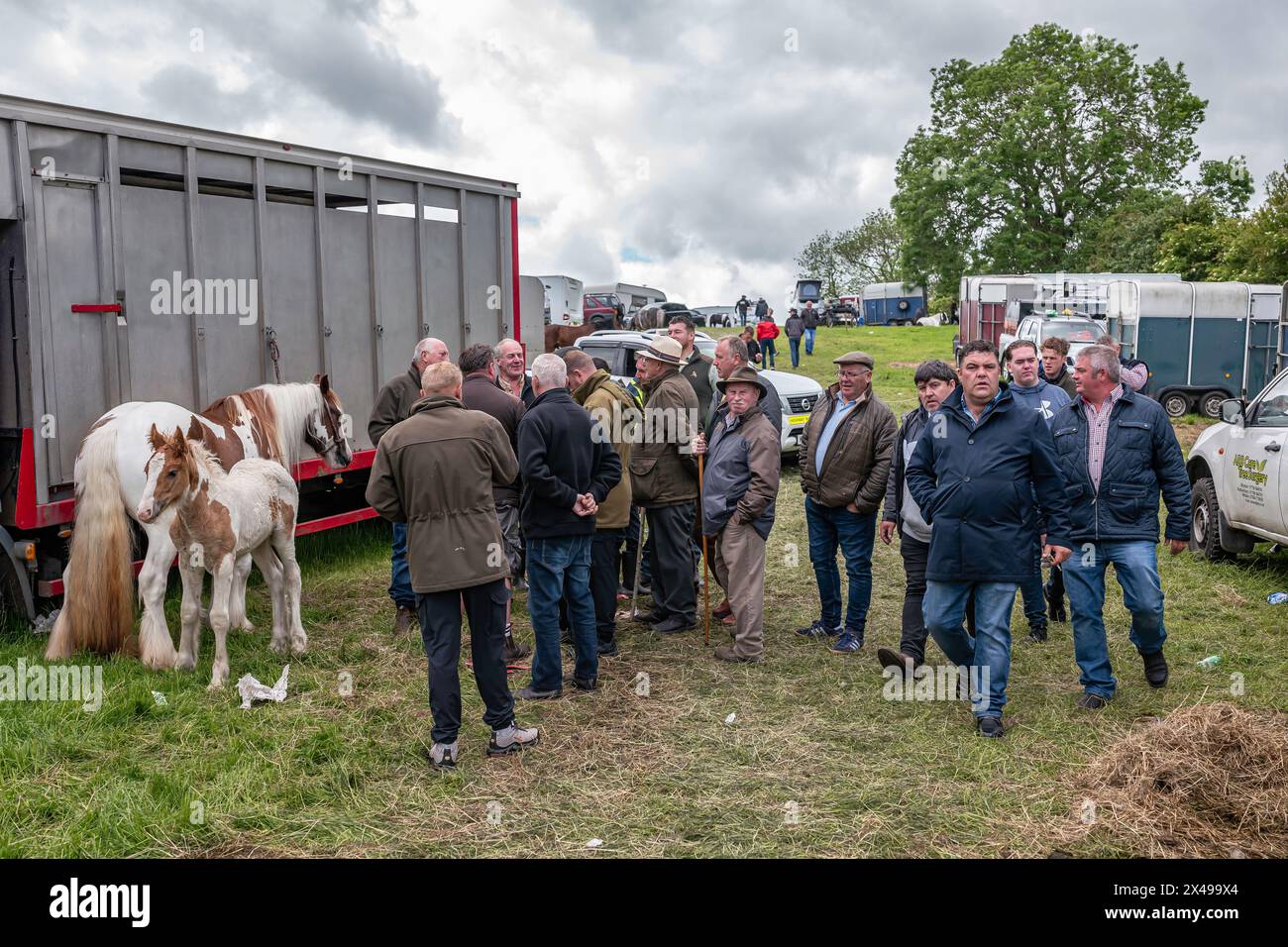 English gypsies uk hi-res stock photography and images - Alamy