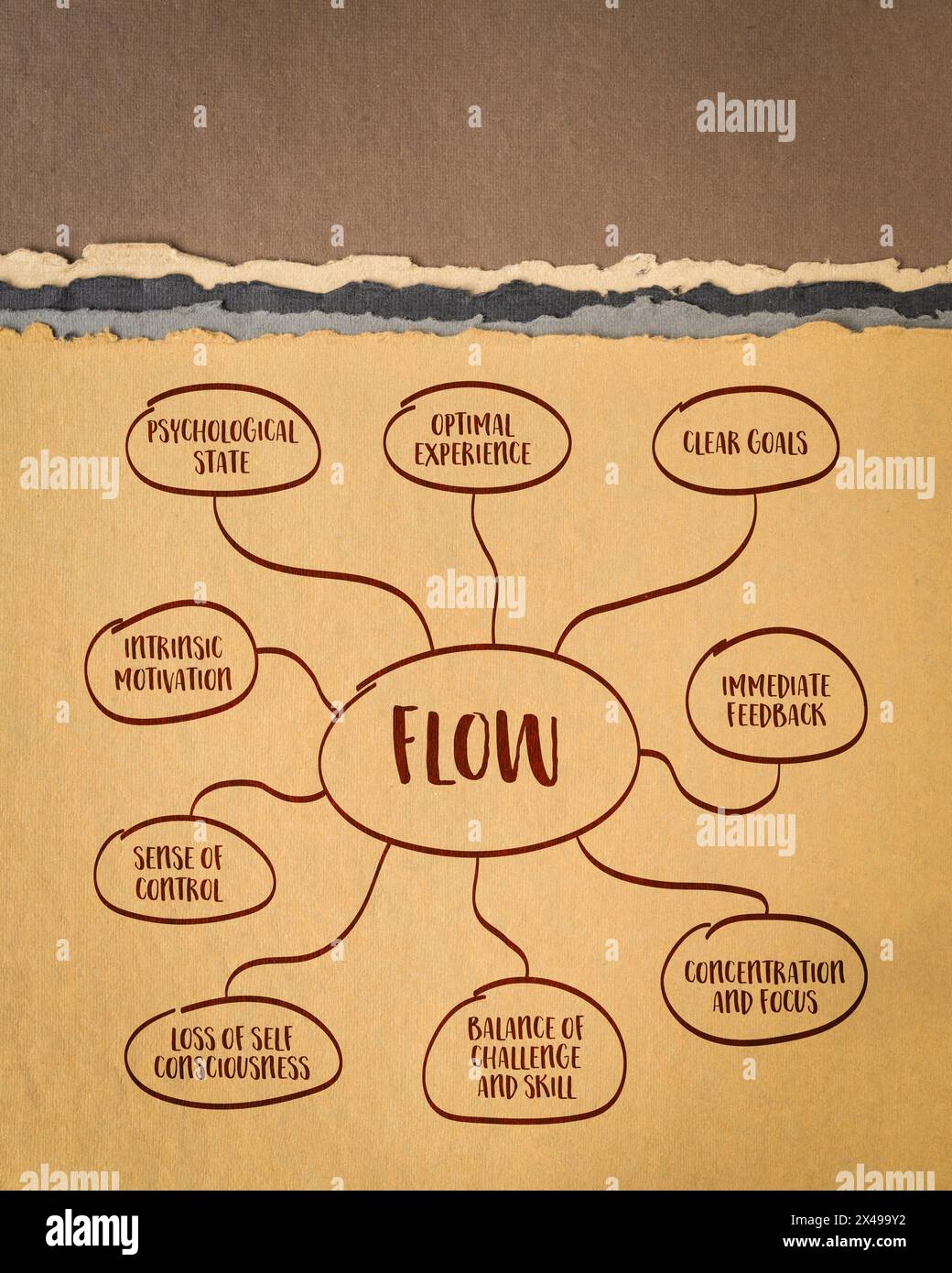 Vertical flowchart hi-res stock photography and images - Alamy
