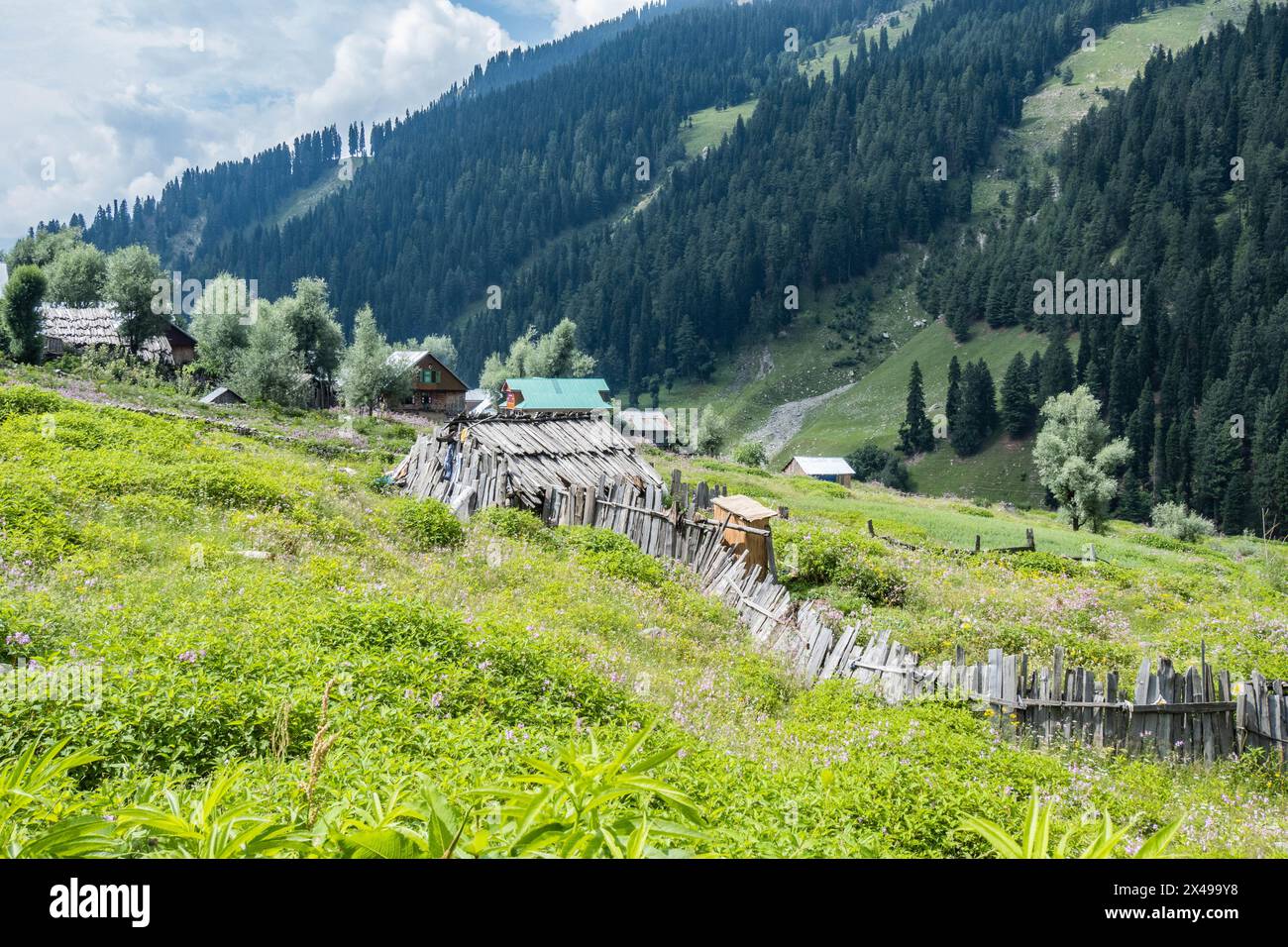 Trekking to Sukhnai village, Warwan Valley, Kashmir, India Stock Photo ...