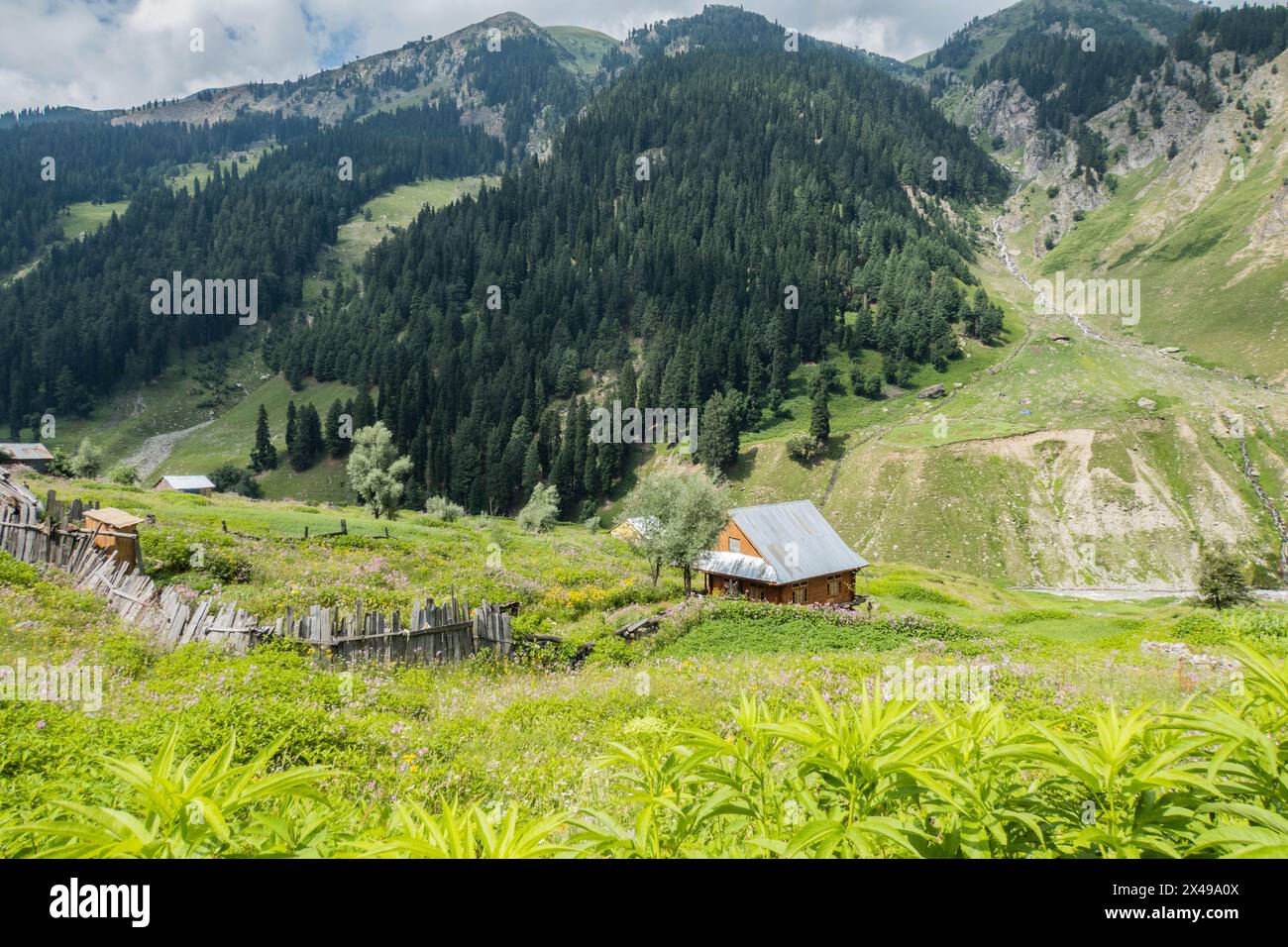 Stunning sceneries around Sukhnai village, Warwan Valley, Kashmir ...