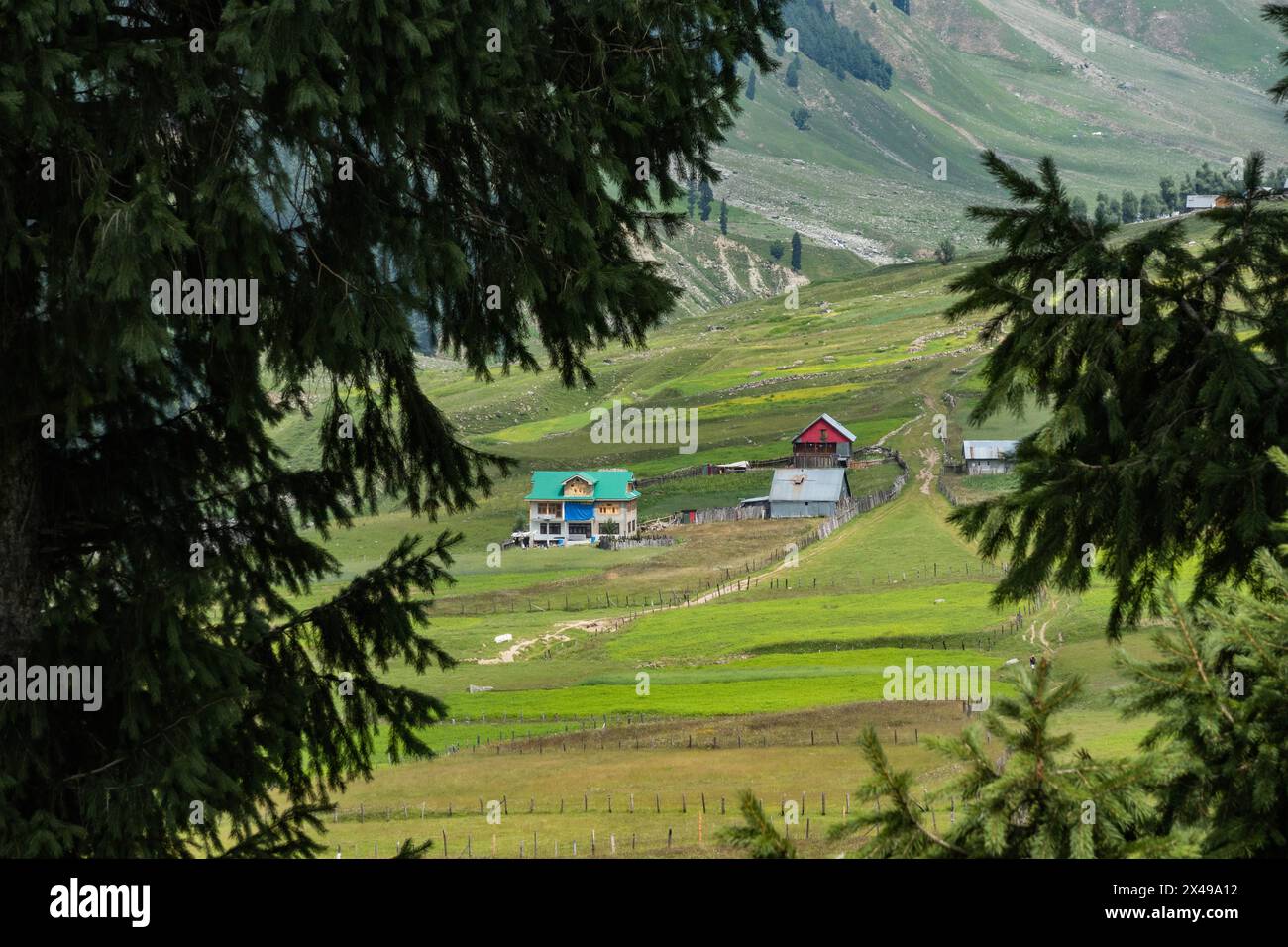 Stunning sceneries around Sukhnai village, Warwan Valley, Kashmir ...