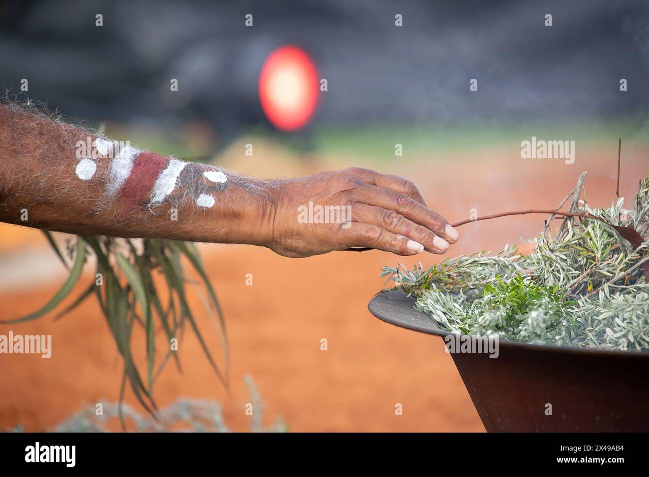 Human hand with green branch of eucalyptus for the smoke ritual welcome ...