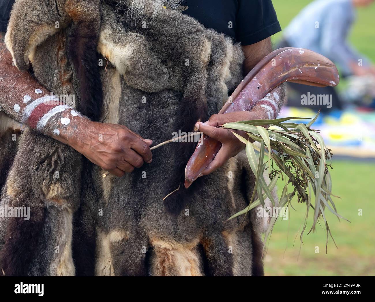 Human hand holds ritual clapsticks for the welcome ritual rite at an ...