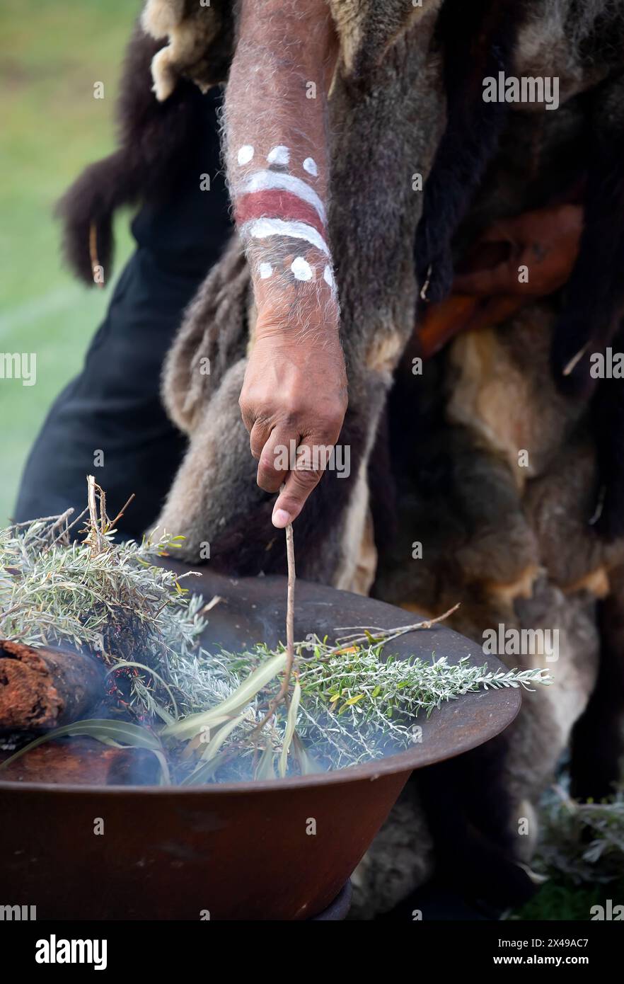 Human hand with green branch of eucalyptus for the smoke ritual welcome ...