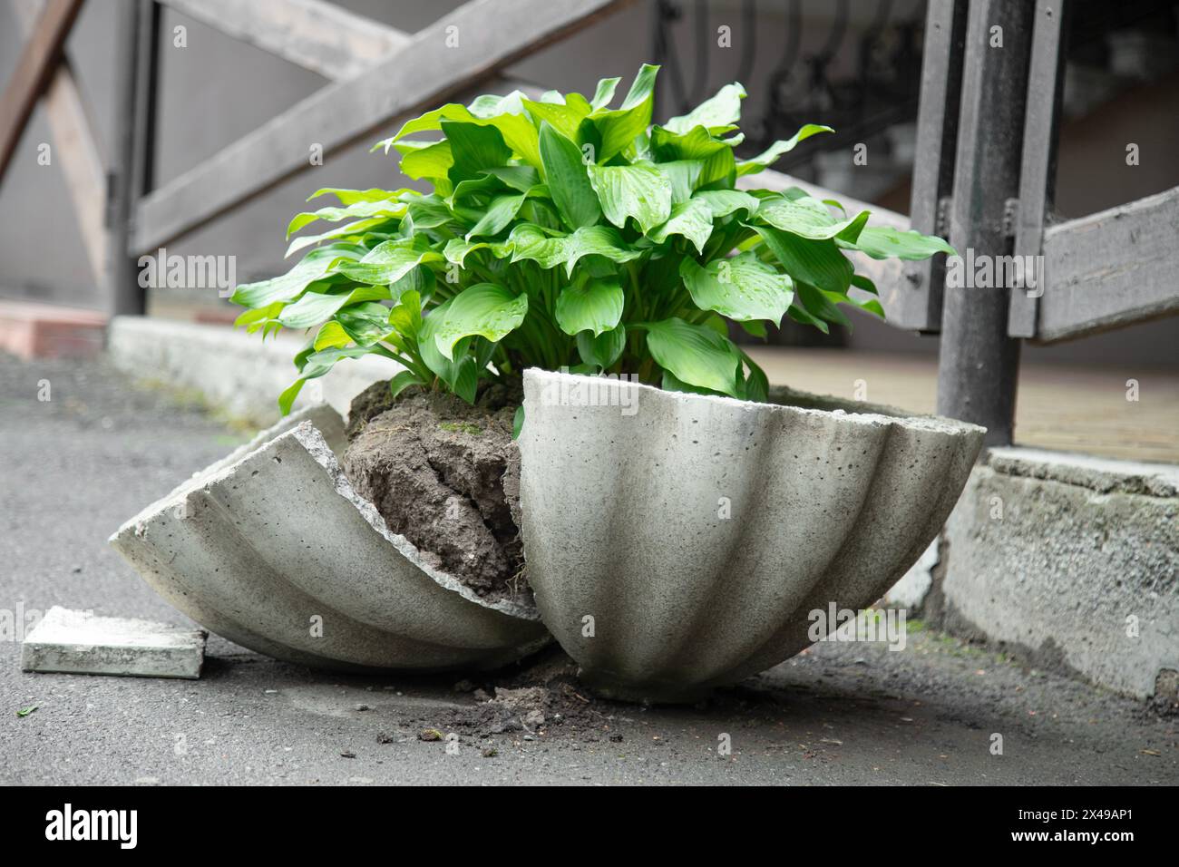 Broken pot garden hi-res stock photography and images - Alamy