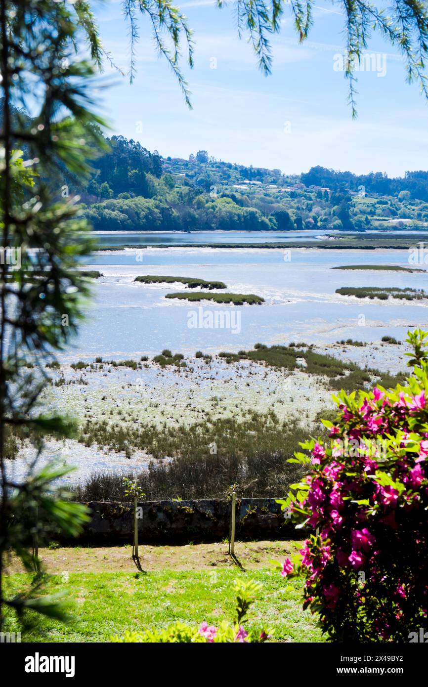 Vertical landscape of the Betanzos estuary Stock Photo - Alamy
