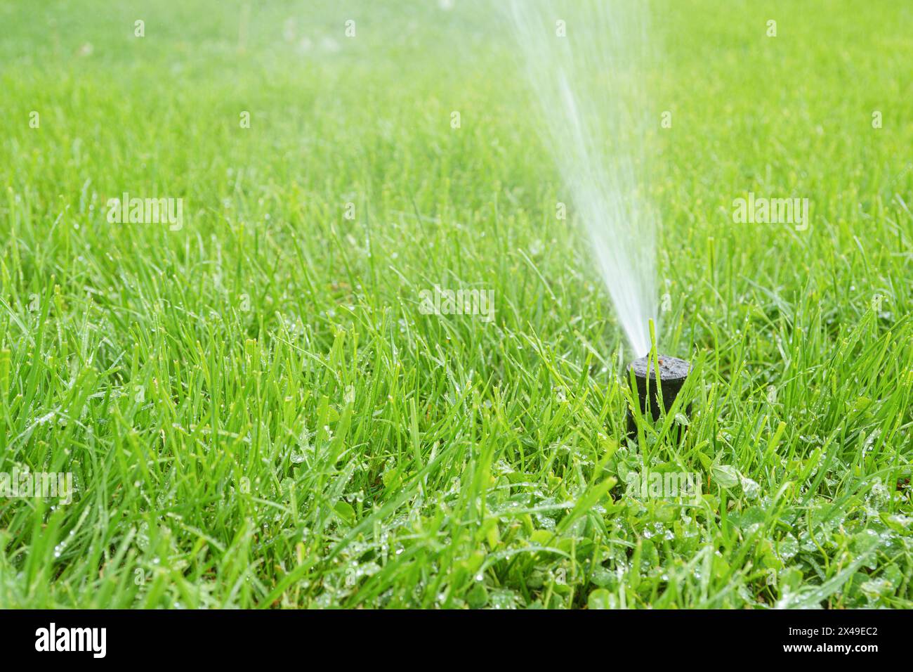 Automatic smart lawn sprinkler watering green lawn grass in sunny day ...