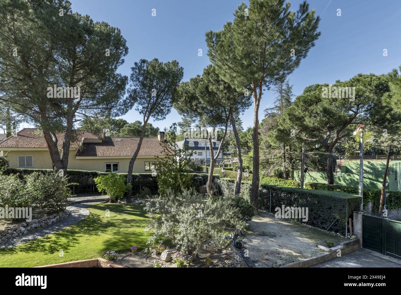 Garden with perimeter wall and a large amount of vegetation around a ...