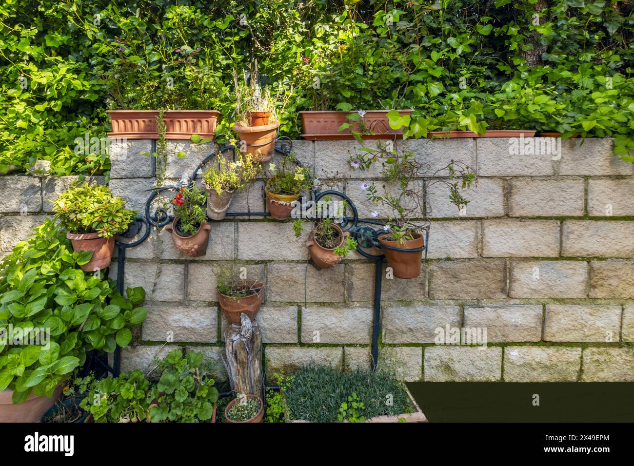 Brick wall of a perimeter garden with pots of decorative plants Stock ...