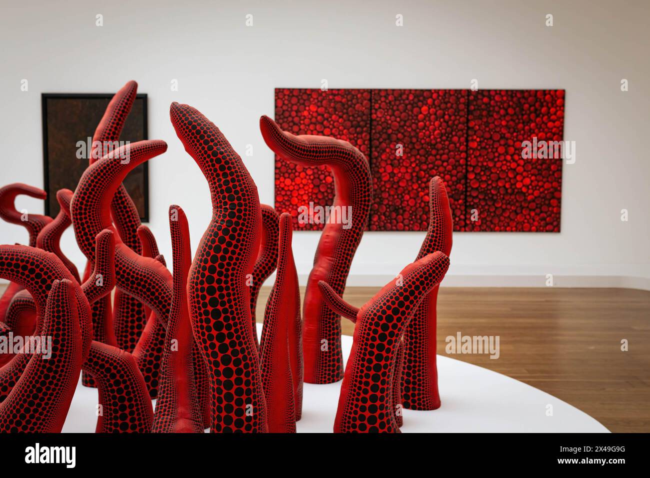 Yayoi Kusama Ausstellung 2024