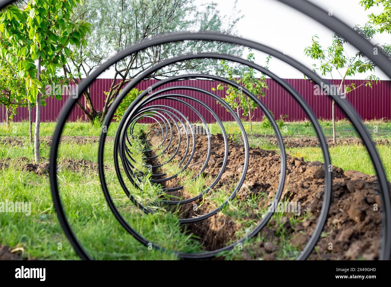 A plastic pipe for supplying water to a drip irrigation system, twisted ...