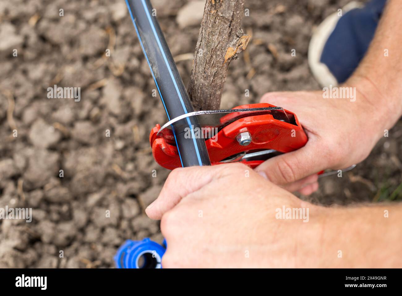man cuts a plastic pipe with pipe cutters. installation of an automatic ...