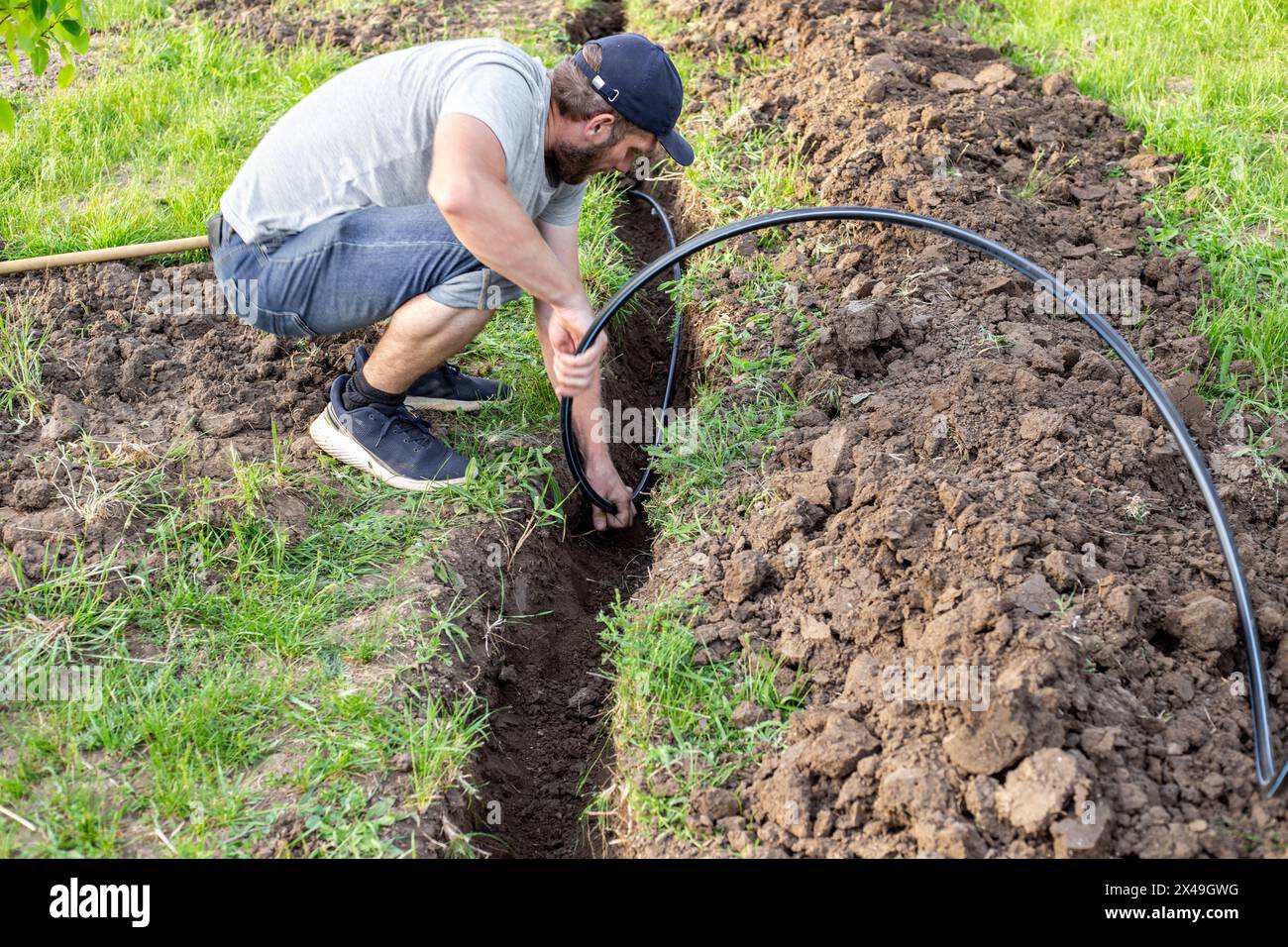 Installation of automatic drip irrigation for the garden. A man places ...