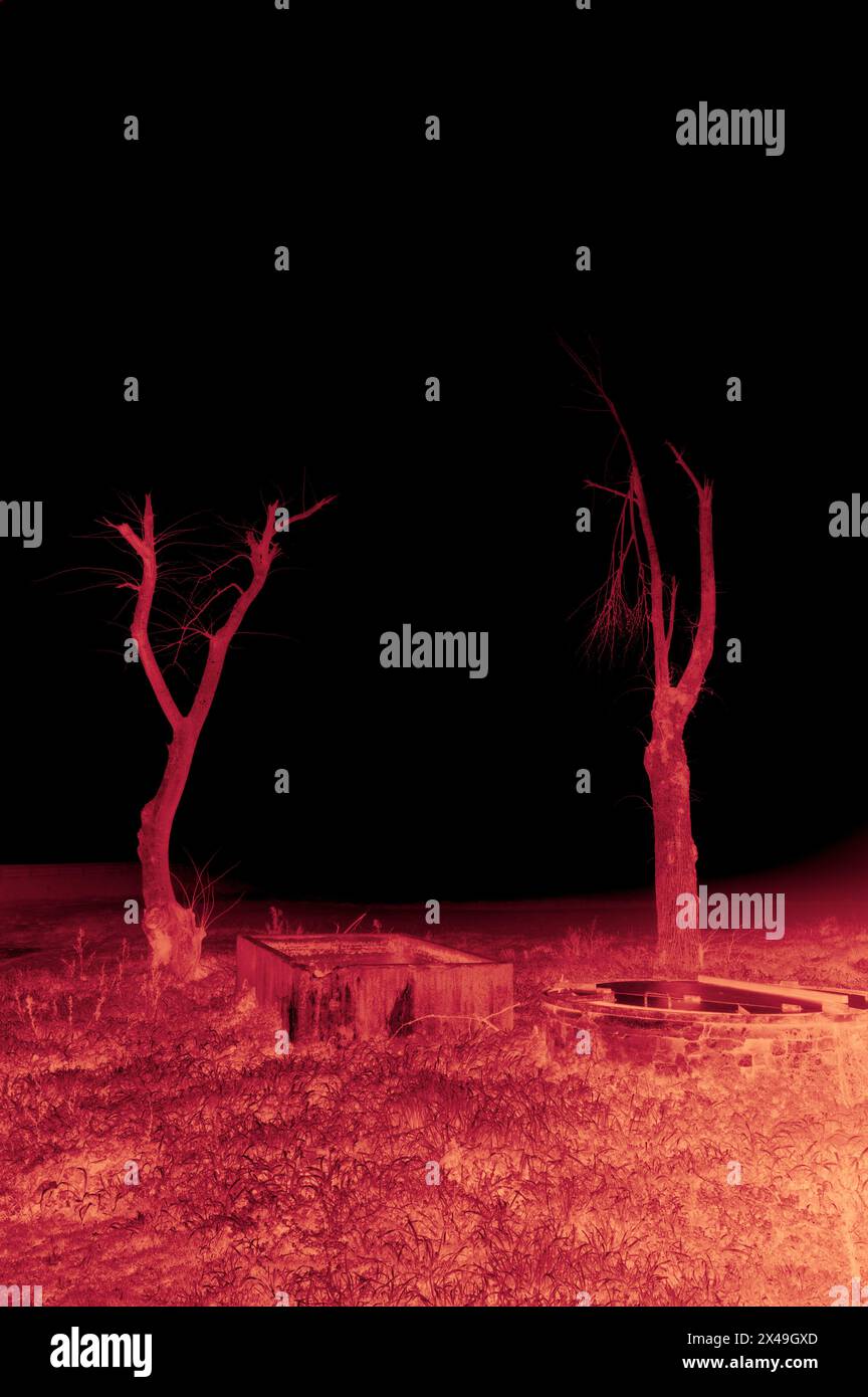 sad and lonely tree in an apocalyptic context Stock Photo - Alamy
