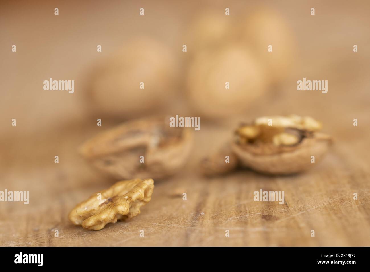 walnut kernel with a shell in the background with the fruit inside ...