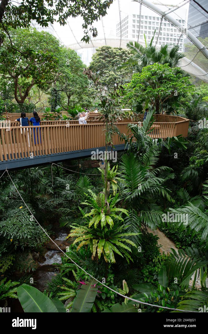 Visitors enjoy the lust surroundings and lively feathered inhabitants ...