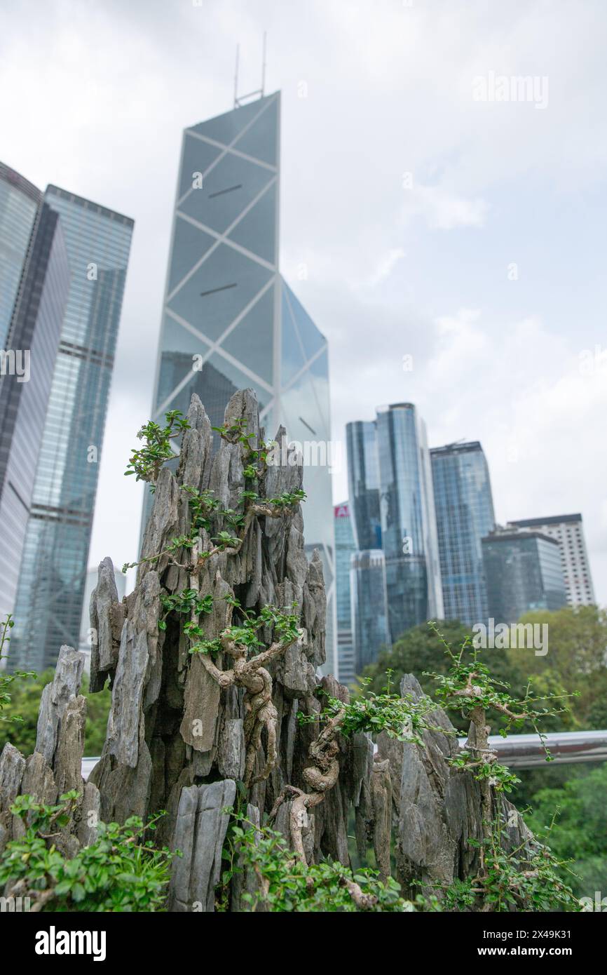 A low angle view showing the Bank of China and there Hong Kong ...