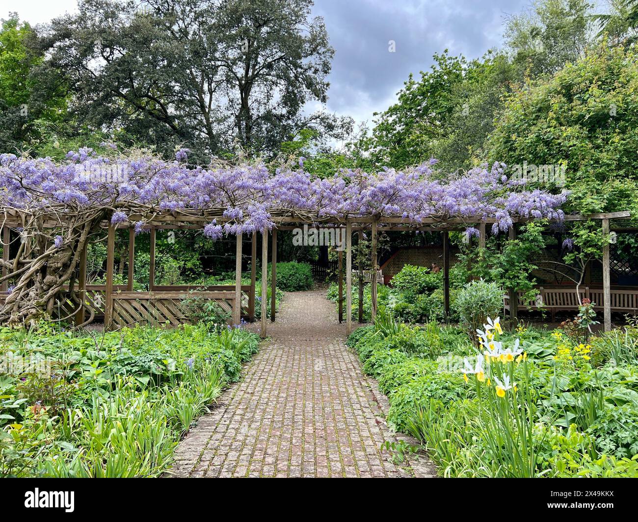 Pergola garden hi-res stock photography and images - Alamy