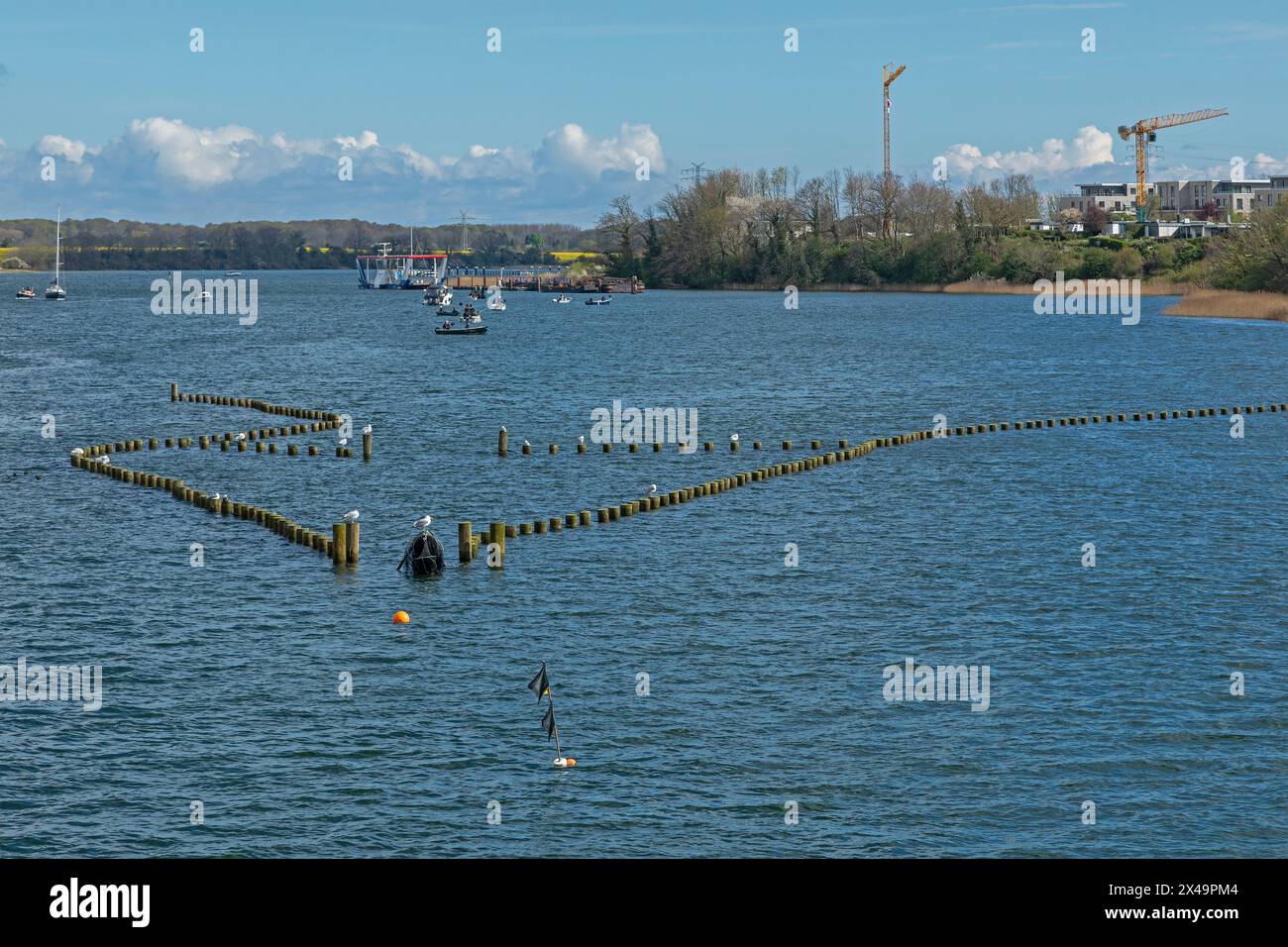 Herring fence, harbour, Kappeln, Schlei, Schleswig-Holstein, Germany ... Herring fence, harbour, Kappeln, Schlei, Schleswig-Holstein, Germany ...
