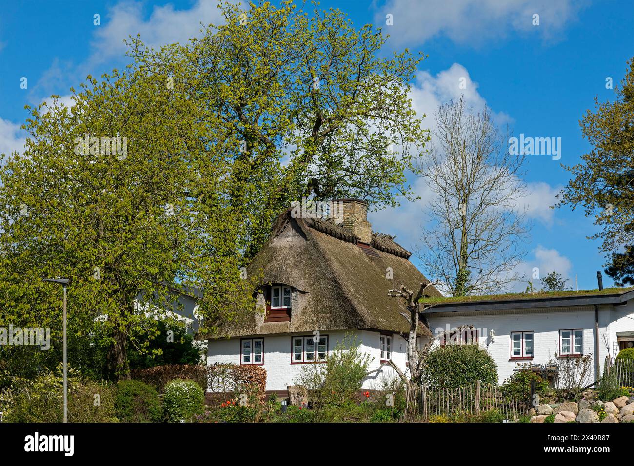 Thatched house, harbour, Kappeln, Schlei, Schleswig-Holstein, Germany ...
