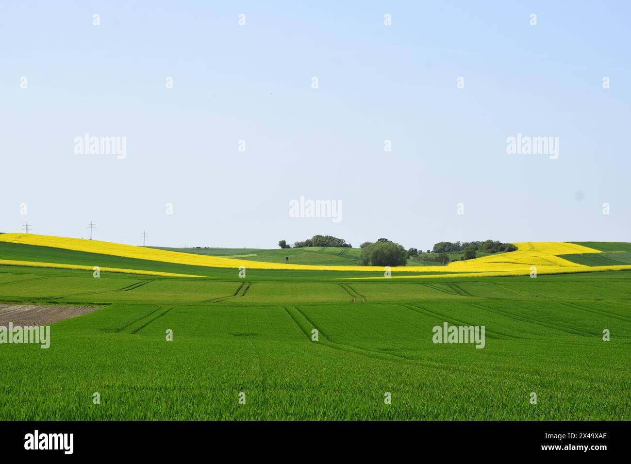 colorful farmland in spring Stock Photo - Alamy