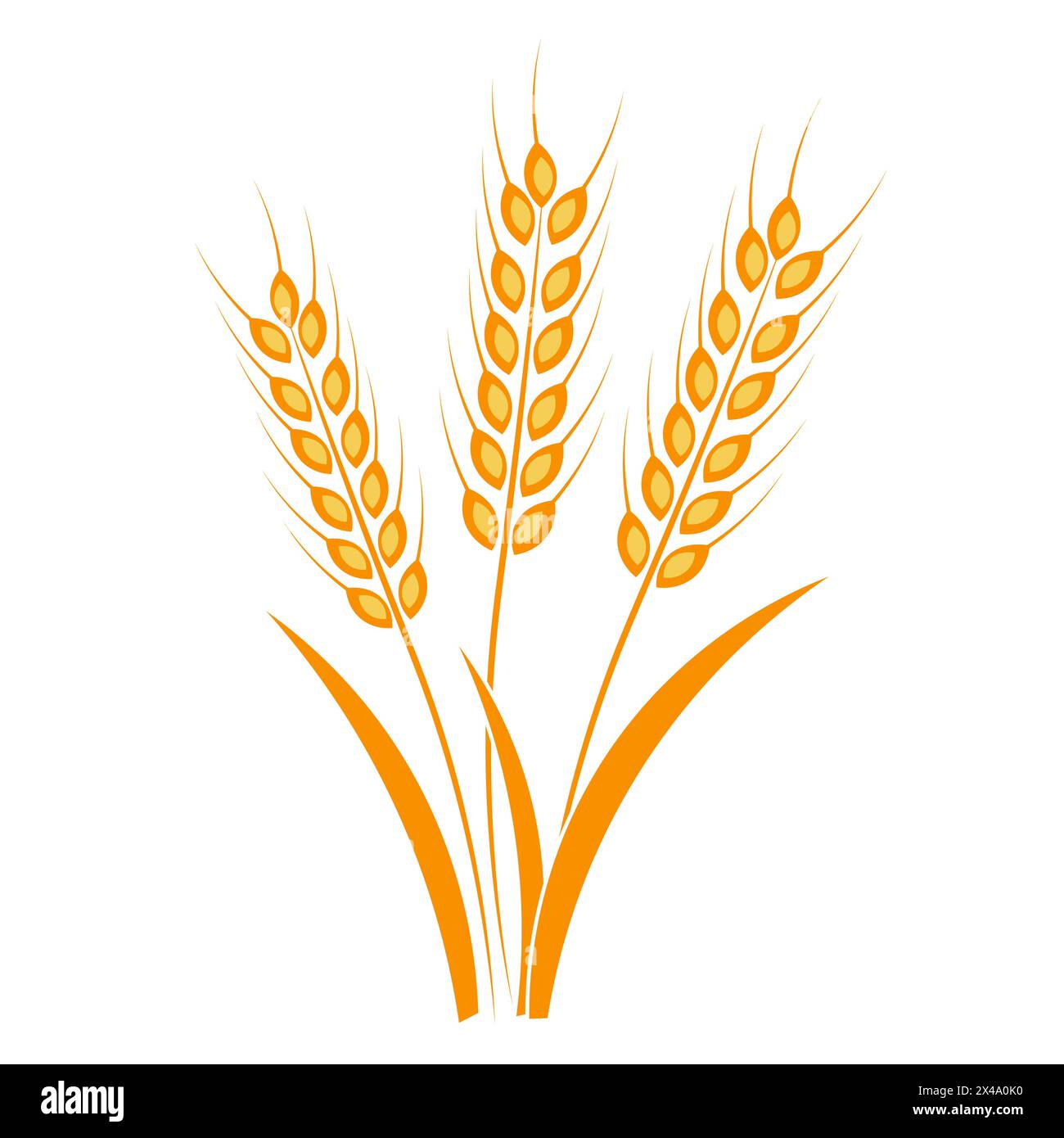 Dry wheat field ears wheat Stock Vector Images - Alamy