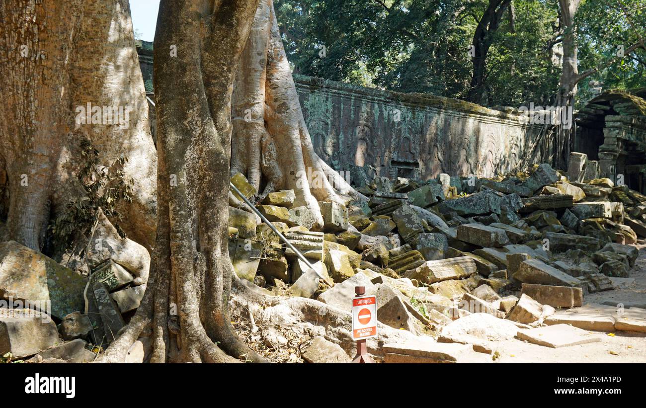 Ta Prohm Temple in Angkor Wat with huge trree roots Stock Photo - Alamy