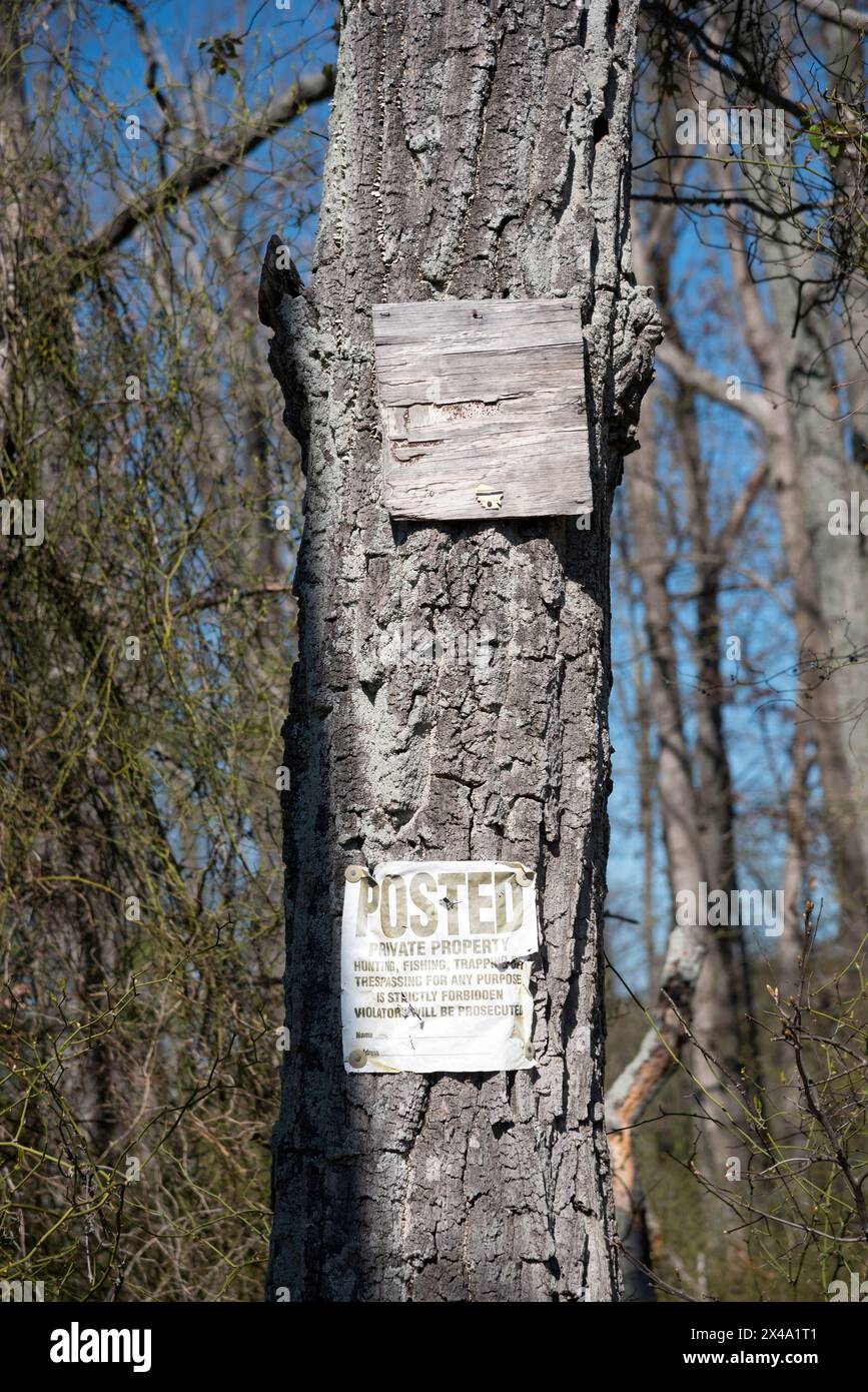 Faded Posted sign nailed to a tree Stock Photo - Alamy