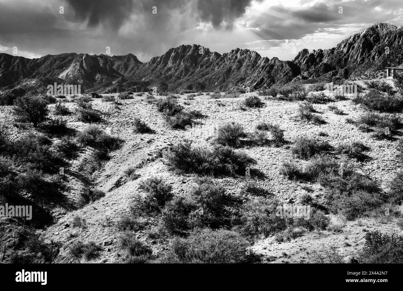 Baylor Peak, Organ Needle in the Organ Mountains desert Peaks National ...