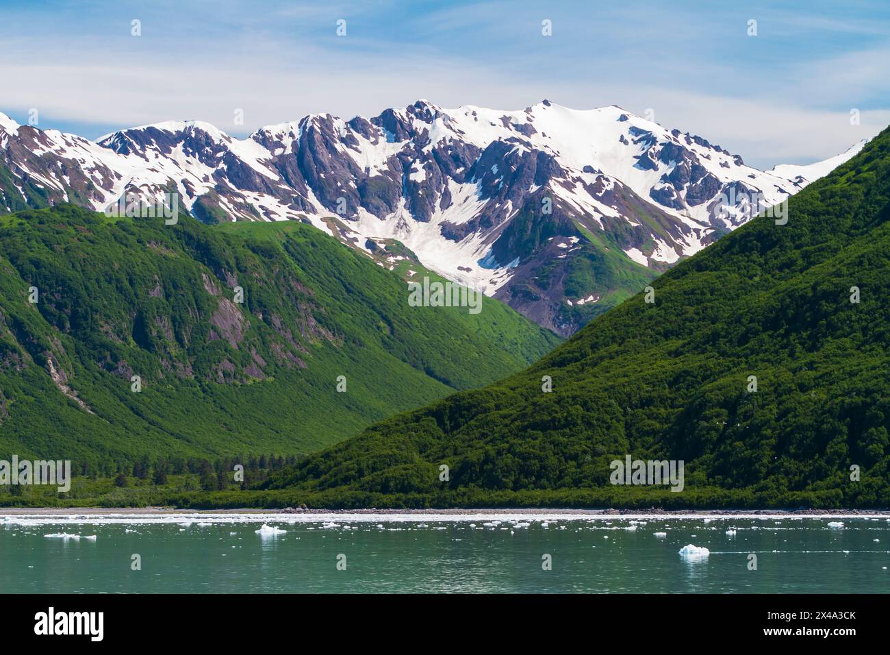 Scenic view of forest and mountains in Tongass National Forest from ...