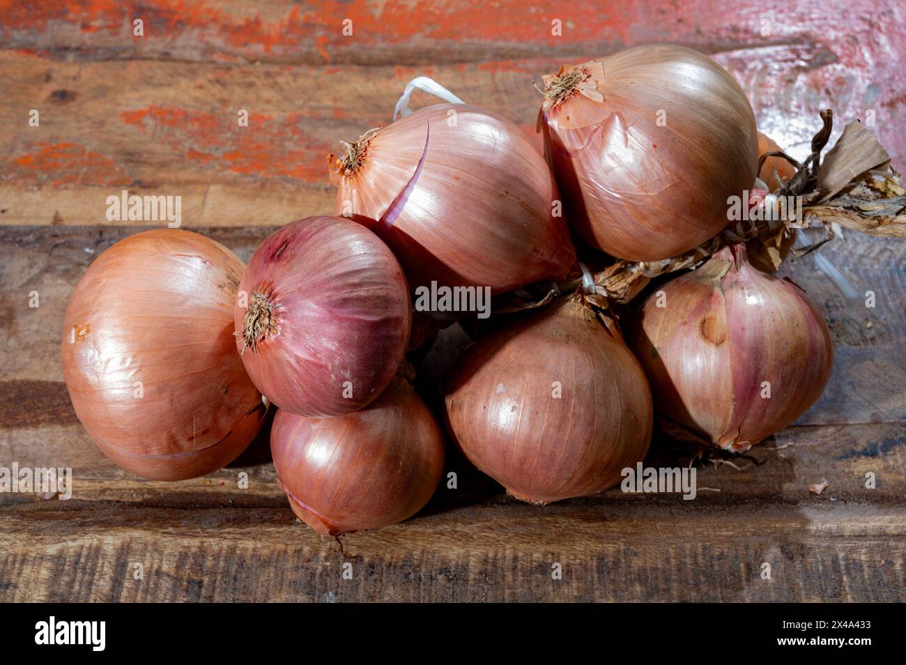 Bunch of french AOP strong pink onions from Roscoff village in Brittany ...