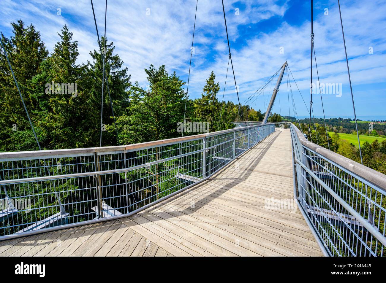 View of the tree top path and trail in beautiful mountain scenery ...