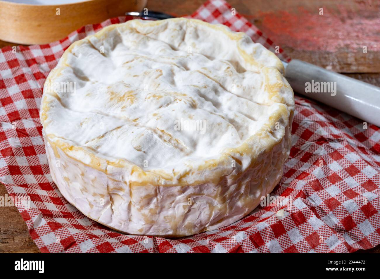 French soft Camembert cheese, original Camembert de Normandie, close up ...