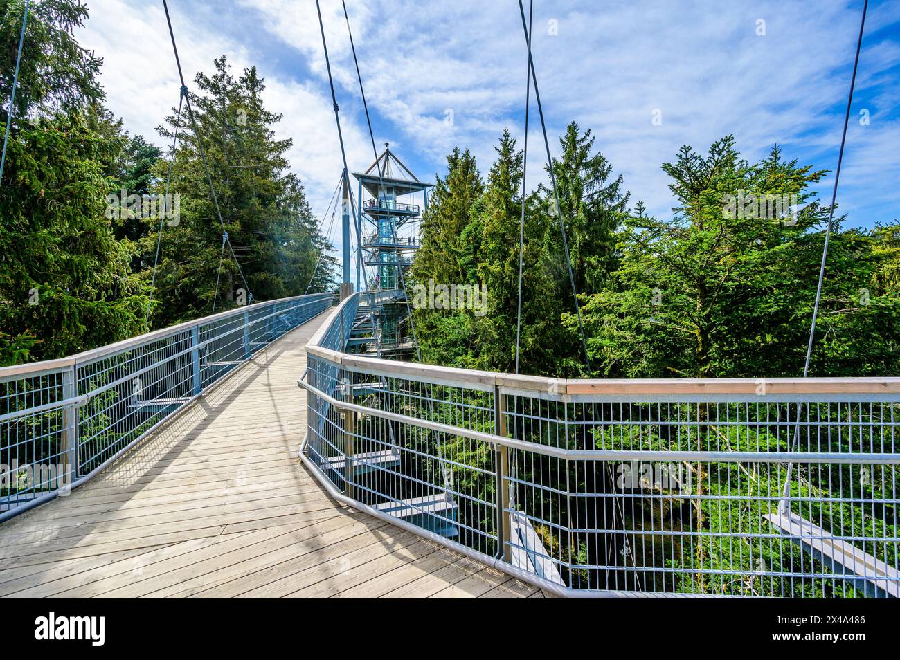 View of the tree top path and trail in beautiful mountain scenery ...