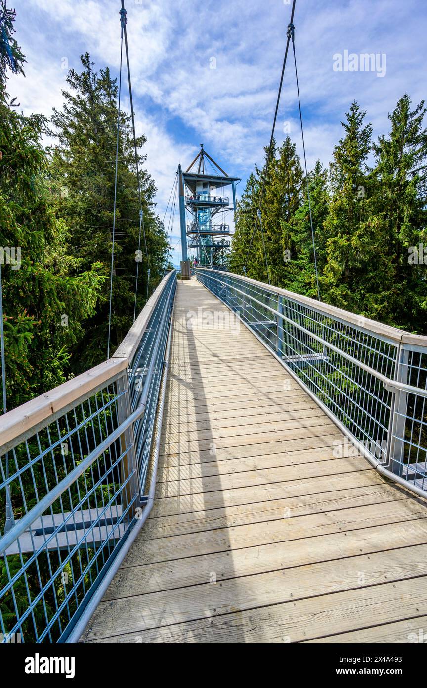 View of the tree top path and trail in beautiful mountain scenery ...