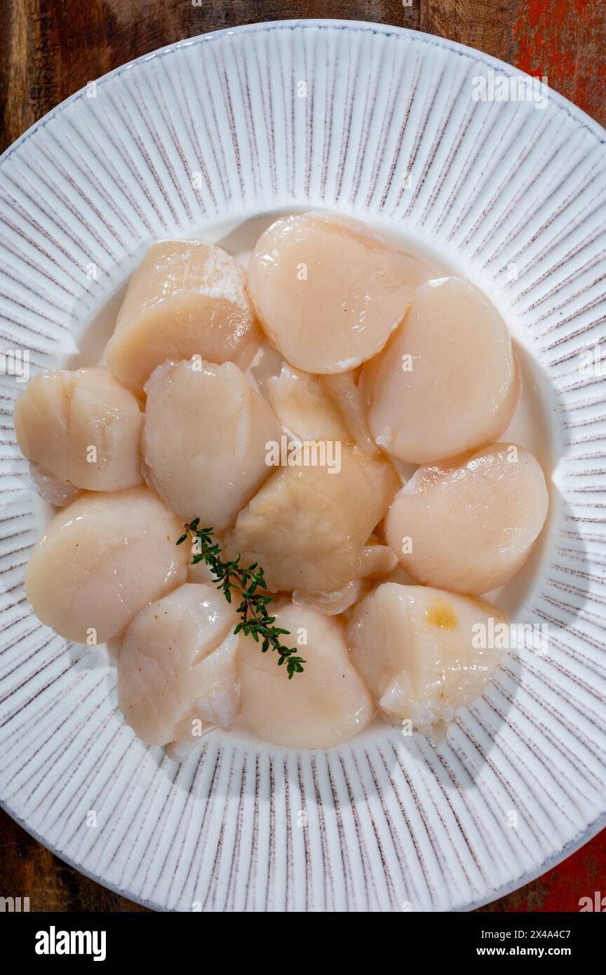 Atlantic bay cleaned scallops coquille St. James sea shells on plate ...
