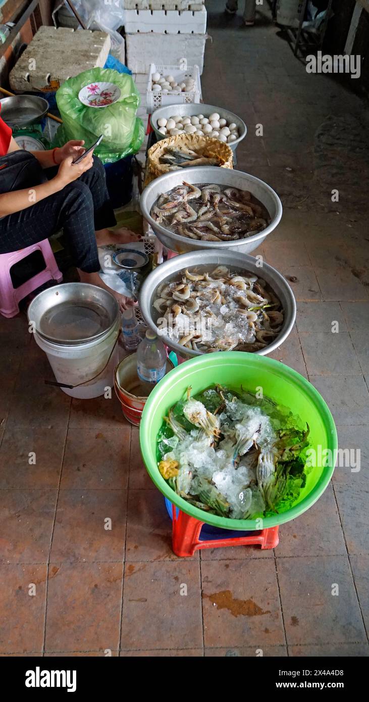 fresh fish at the street market in battambang Stock Photo - Alamy