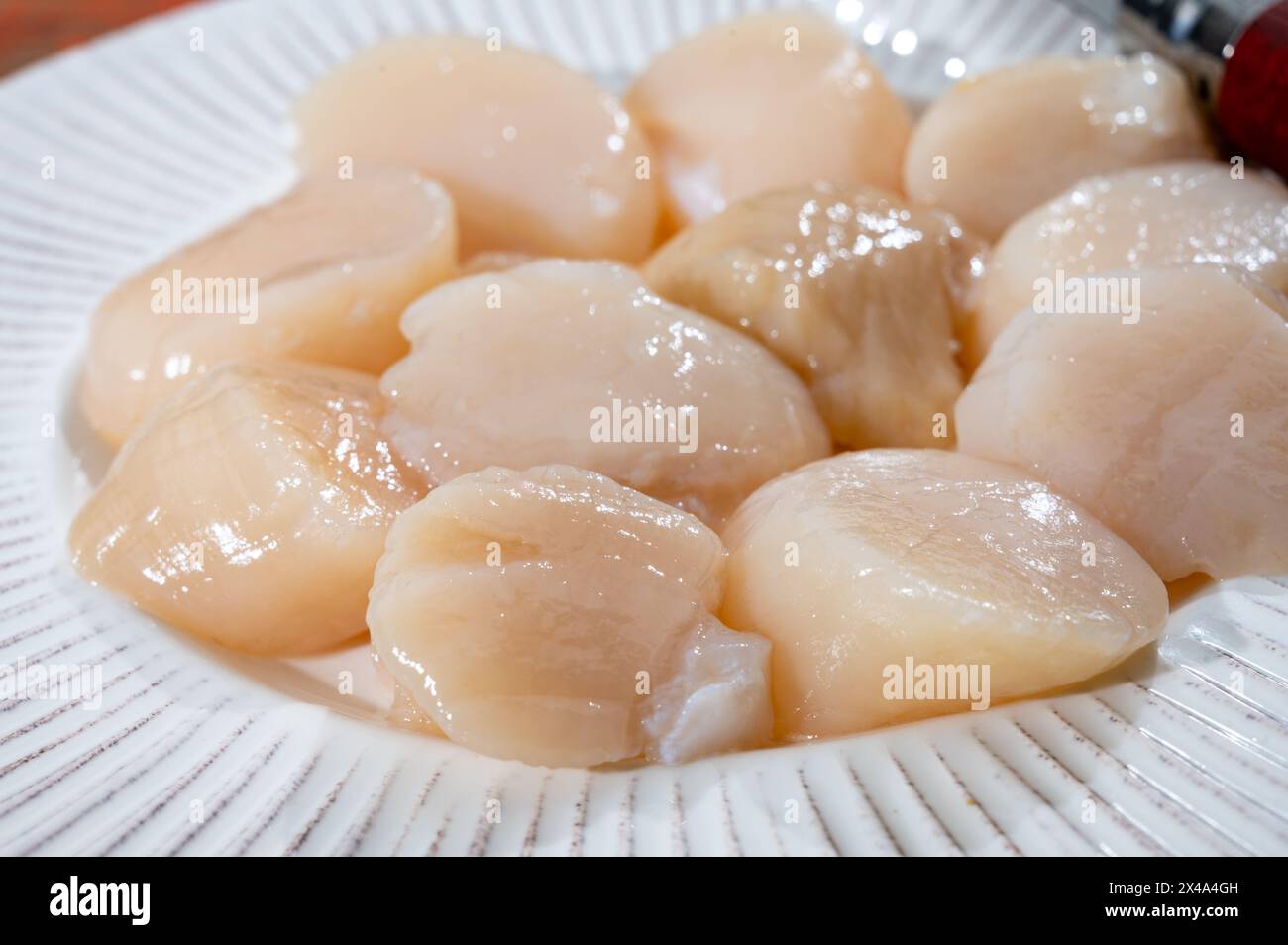 Atlantic bay cleaned scallops coquille St. James sea shells on plate ...