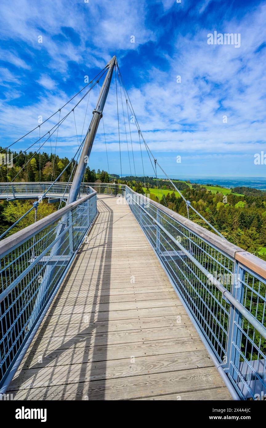 View of the tree top path and trail in beautiful mountain scenery ...